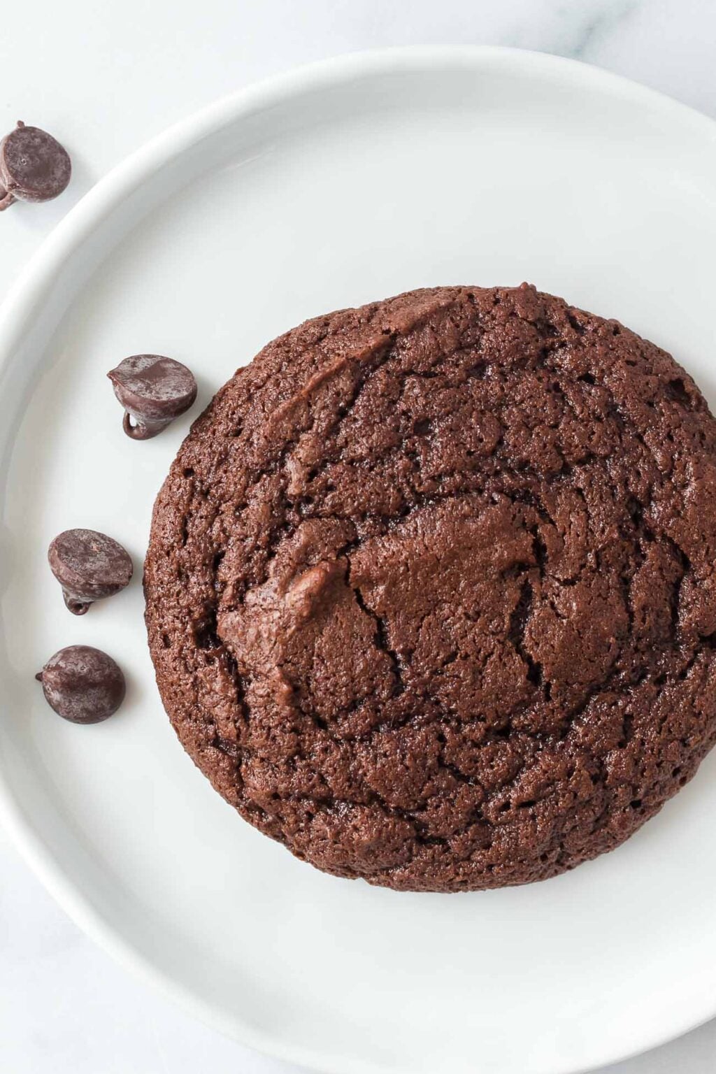 Cocoa Powder Cookies Recipe (Chewy Chocolate!)