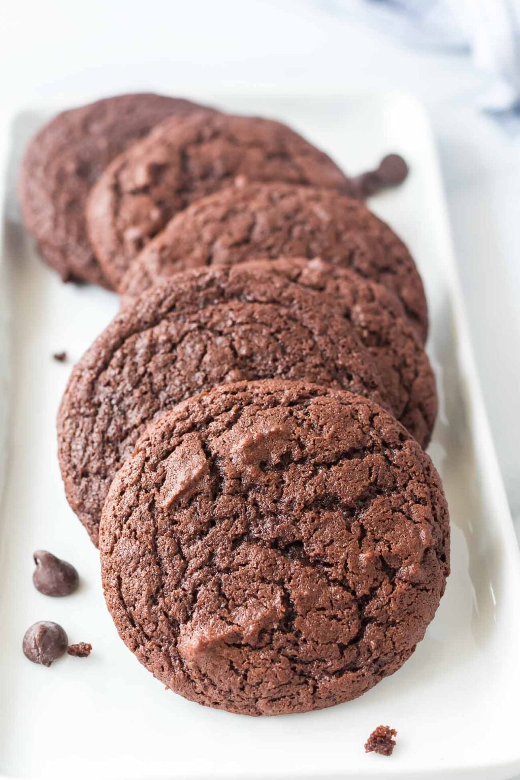Cocoa Powder Cookies Recipe (Chewy Chocolate!)